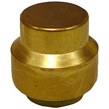 Push-To-Fit Fitting Test Cap - 1 In. Push by JMF at Fleet Farm