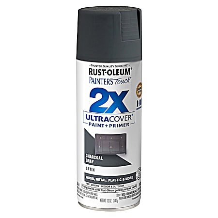12 oz Painter's Touch 2X Ultra Cover Satin Spray Paint & Primer by Rust ...