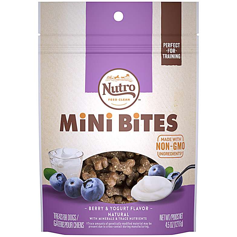 Nutro Wholesome Essentials Large Breed Senior Chicken Dog Food